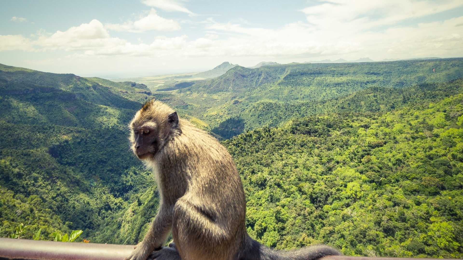 Chamarel Tour Mauritius (6-hrs) | Private Taxi Tour in the South