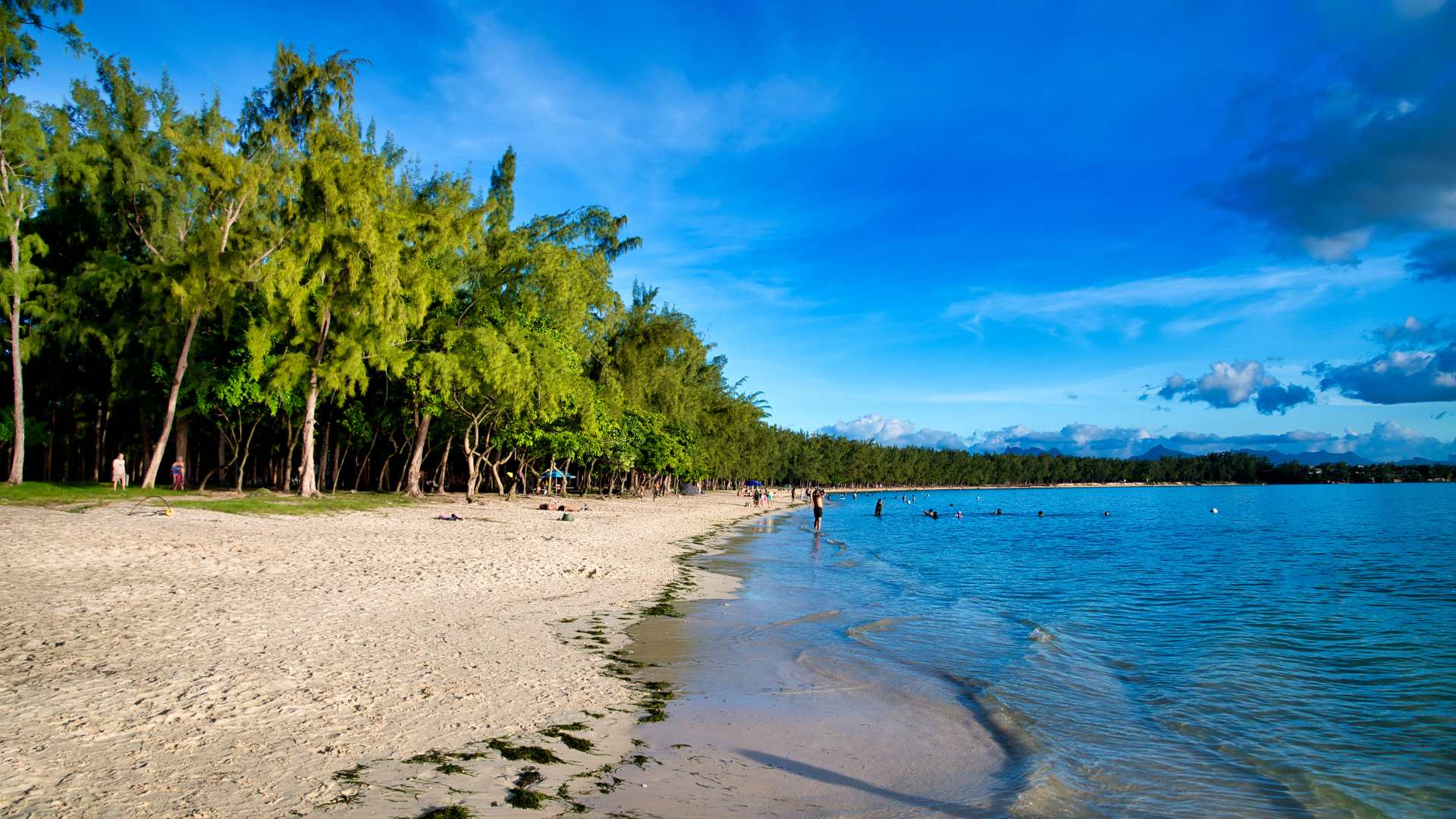 North Beaches Tour (Discover 5 Top Beaches) | Private Taxi Tour