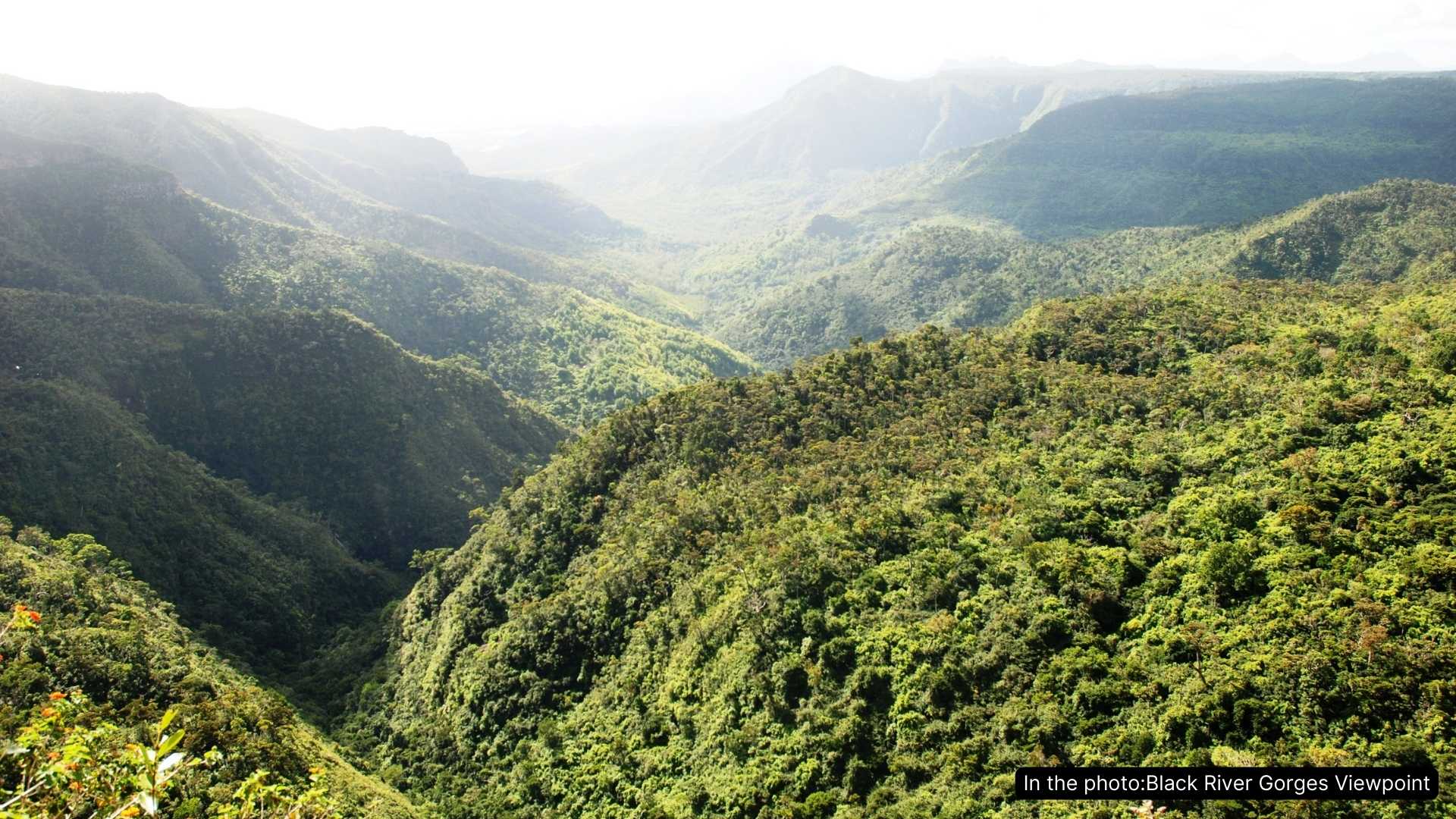 Chamarel Tour Mauritius (6-hrs) | Private Taxi Tour in the South
