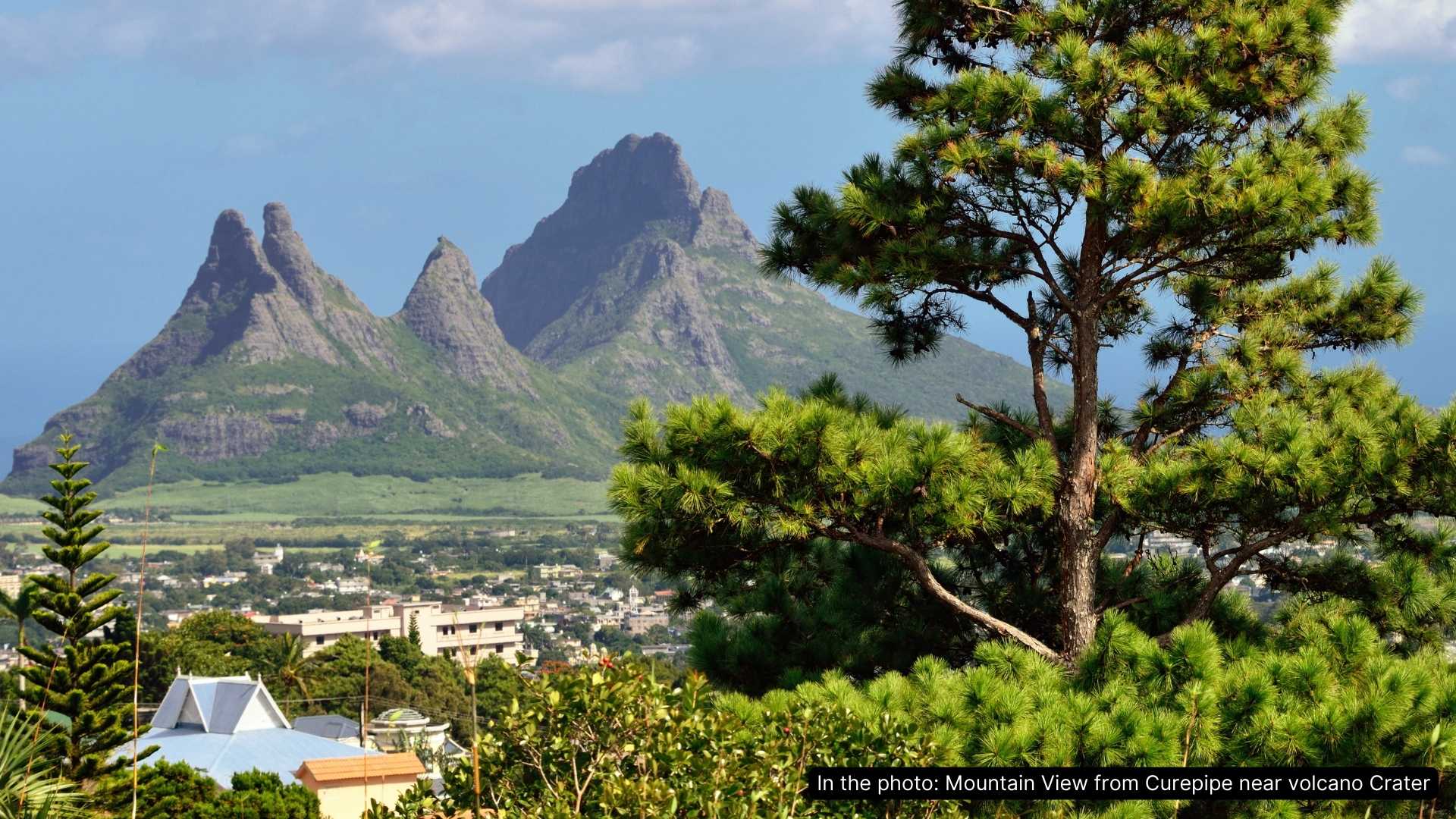 Book South Tour Mauritius – Chamarel & Tea Route (Private Tours)
