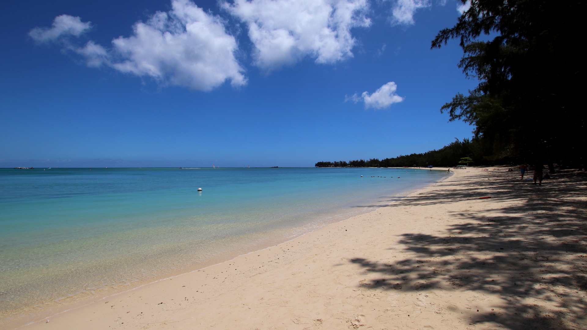 North Beaches Tour (Discover 5 Top Beaches) | Private Taxi Tour