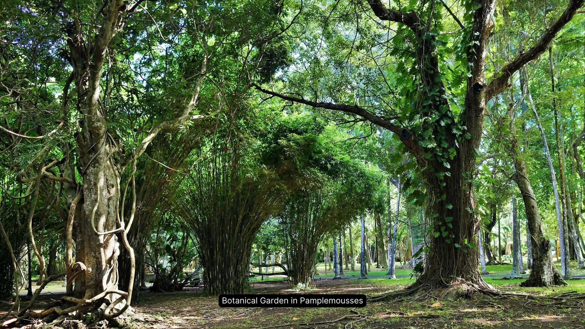 North Tour Mauritius | Guided North Island Tour in Mauritius