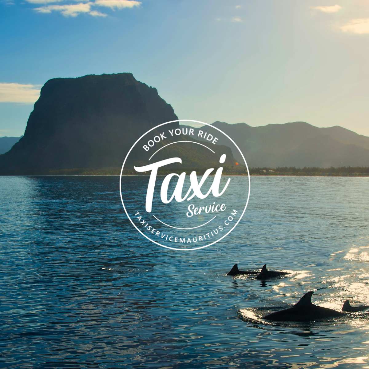 Swim with dolphins in Mauritius: Dive into a Magical Encounter