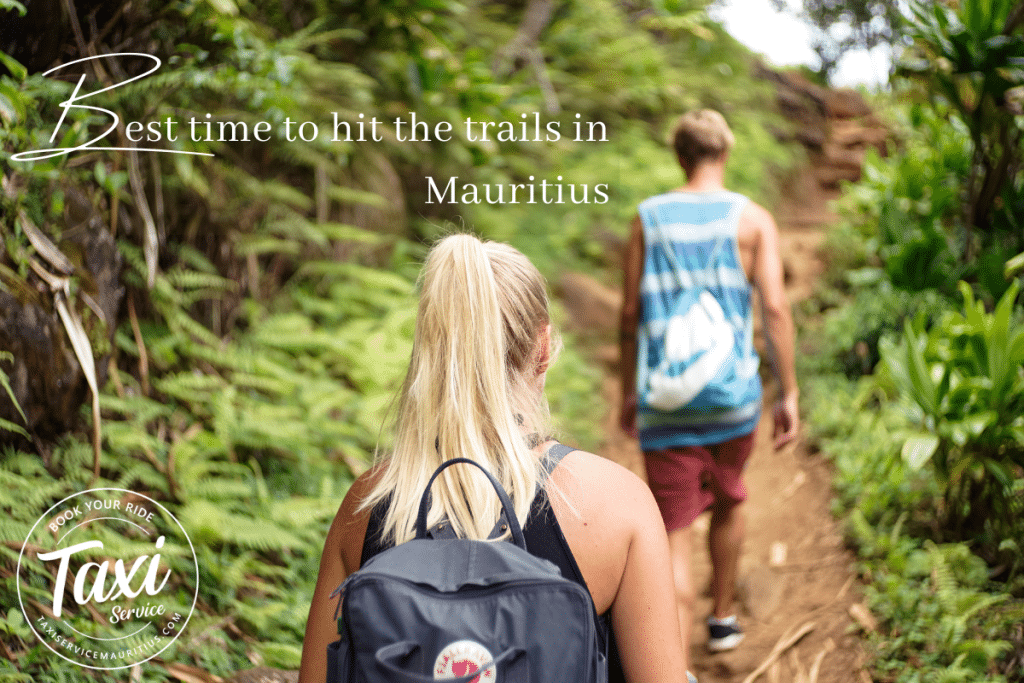 Hiking in Mauritius: The Best Times to Hit the Trails in Mauritius