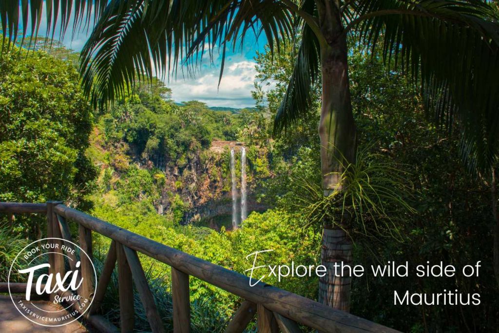 Mauritius Uncovered: Explore the Wild Side of Mauritius